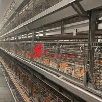 China 100000 Pullets Poultry Battery Cage System 1.8m x 0.6m Q235 Al-Zn Alloy for sale