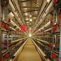 China Enclosed H-Type Layer Chicken Cage System Q235 Al-Zn Alloy High Density Rearing for sale