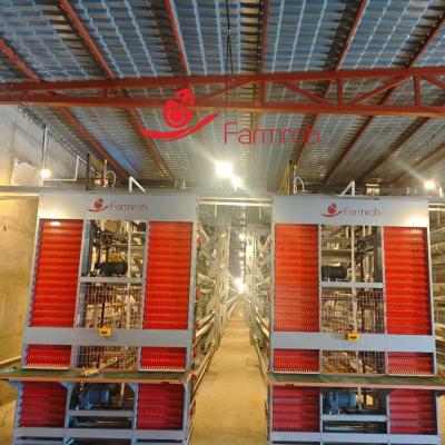 China Integrated Intelligent Systems Layer Chicken Cage System with High  Rearing Density for sale