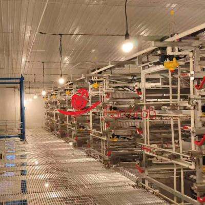 China Easy Baby Chicks Handling Poultry Battery Cage System Ideal for Enclosed Farms for sale