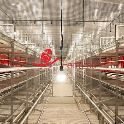 China Operational Performance Cage Free System Ideal for Global Enclosed Welfare Farms for sale