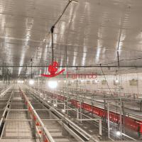 China Cage Free Layer System 10000 Birds Capacity with Automatic Nest Management for sale