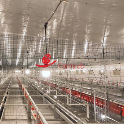 China Abundant Activity Space Cage Free System with Efficient Farm Management for sale