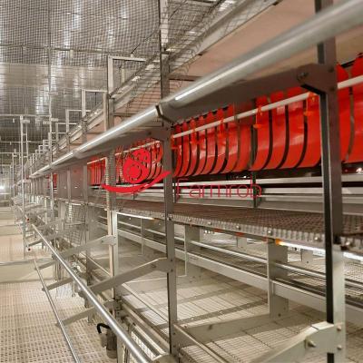 China Enhanced Biosecurity Cage Free System with Comfortable Living Conditions for sale