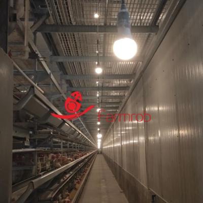 China 8-12 Tiers Layer Chicken Cage System Enhanced Poultry Well-Being for sale