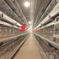 China Premium Poultry Cage System 4-Tier Adjustable Chick Brooder for sale