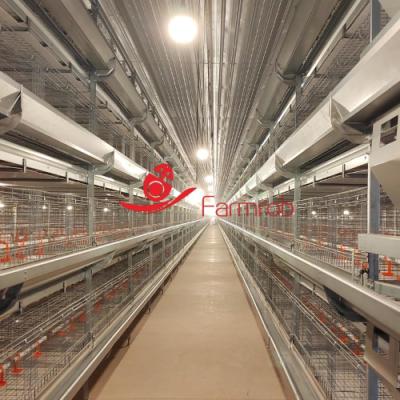 China Premium Poultry Cage System 4-Tier Adjustable Chick Brooder for sale
