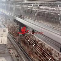 China 50000 Pullets Poultry Battery Cage System with Professional Laser Bending Techniques for sale