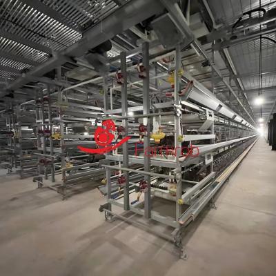 China 60000 Brooding Poultry Battery Cage System for Baby Chicks in Bangladesh for sale