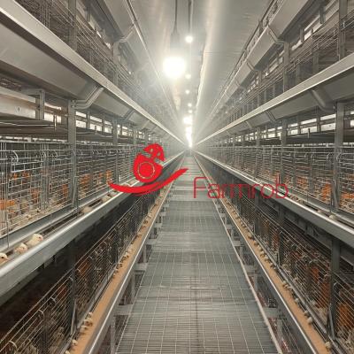 China 3-5 Tiers Pullet Poultry Battery Cage System for Saudi Arabia for sale