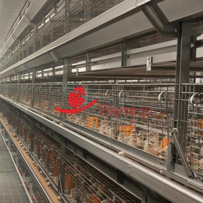 China 100000 Pullets Poultry Battery Cage System with Durable Materials for sale