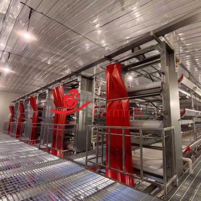 China Easily Care for Baby Chicks Poultry Battery Cage System with Scientific Design for sale