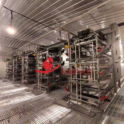 China Healthy Productive Birds Poultry Battery Cage System for Global Pullet Farms for sale