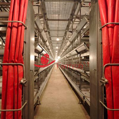 China Effective Space Utilization Poultry Battery Cage System for  Indonesia Farms for sale