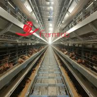 China Fully Automatic H Type Layer Chicken Cage System Corrosion Resistant for sale