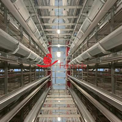 China 700mm Story Height Layer Chicken Cage System with Reasonable Wind Speed for sale