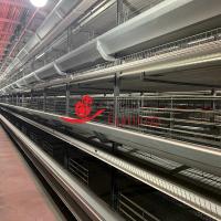 China Low Mortality Layer Chicken Cage System Comfortable Environment for sale