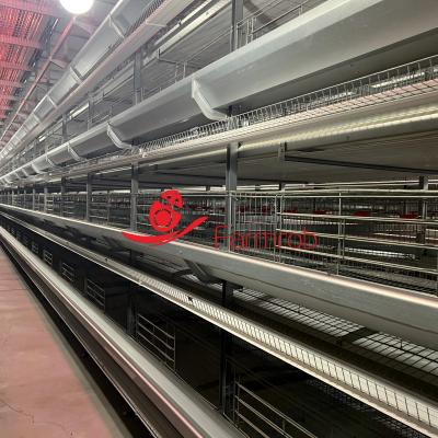 China Low Mortality Layer Chicken Cage System Comfortable Environment for sale