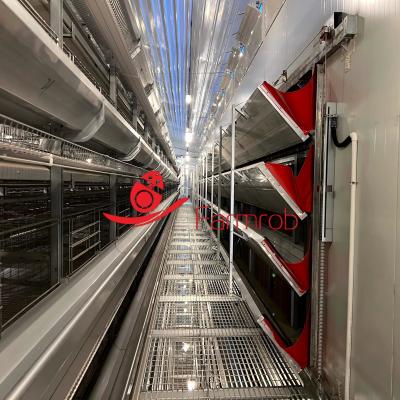 China Uniform feed Layer Chicken Cage System Hot-Dip Galvanized Hopper for sale