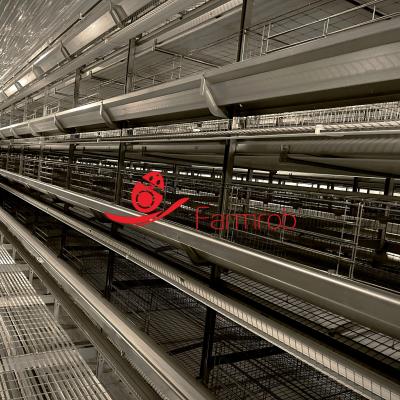 China Sufficient Illumination Layer Chicken Cage System Growth Enhancement for sale