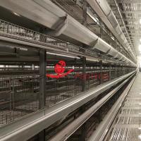 China Commercial Generation Layer Chicken Cage System Automatic Design for sale