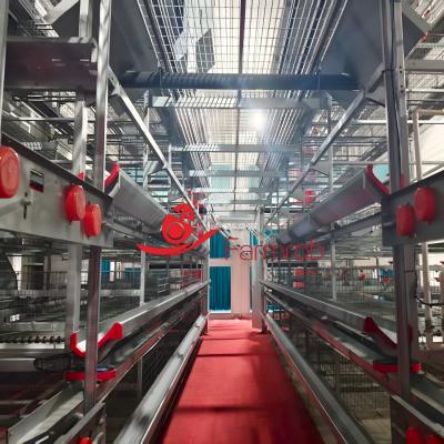 China Al-Mg-Zn Alloy Trough Layer Chicken Cage System Stress-Free for sale