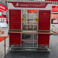 China Reliable Operation Layer Chicken Cage System in Indonesia for sale