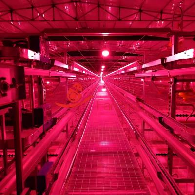 China Functional Layer Chicken Cage System for Efficient Breeding for sale
