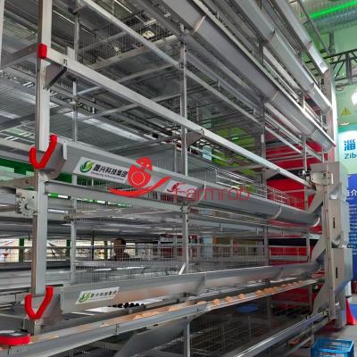China 30000  Layer Cage System with Suitable Temperature in Saudi Arabia for sale