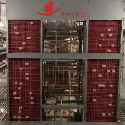 China Standardized Rearing Layer Chicken Cage System for Optimal Middle East Farm for sale