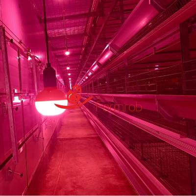 China Streamlined Farm Management Layer Chicken Cage System for Russian Farms for sale