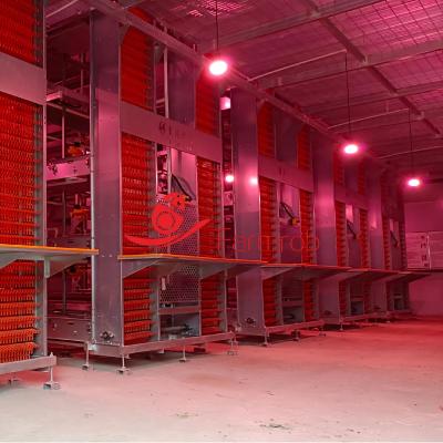 China Modern Large Scale Layer Chicken Cage System for Russian Farms for sale