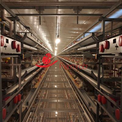 China Smooth Operation Layer Chicken Cage System for Closed-House Poultry for sale