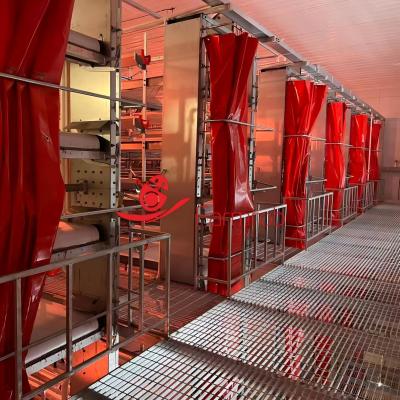 China Thorough Manure Removal Layer Chicken Cage System for the Middle East Farms for sale