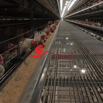 China Excellent Ventilation and Cooling Layer Chicken Cage System for Morocco Farms for sale