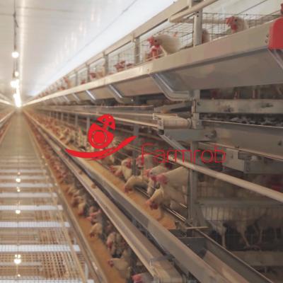 China Well-Designed Layer Chicken Cage System for Vietnam Farms for sale