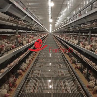 China Long Lasting Stability Layer Chicken Cage System for Russian Farms for sale