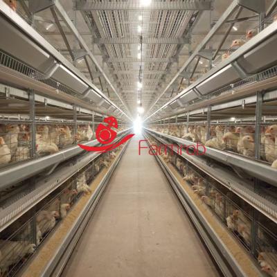 China Safe Egg Collection Layer Chicken Cage System for Commercial Farms for sale