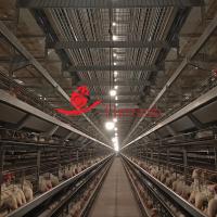 China Optimal Environment Control Layer Chicken Cage System for Enhancing Poultry Growth for sale