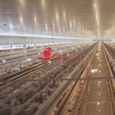 China Heavy-Duty Structure Layer Chicken Cage System for Global Modern Farms for sale