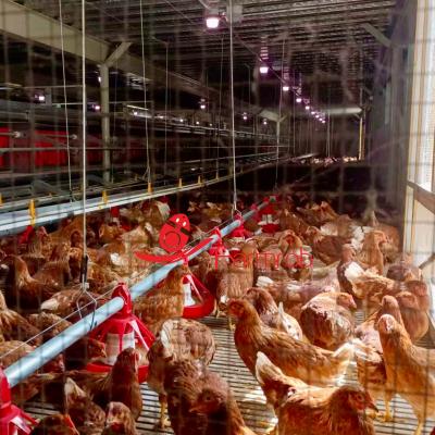 China 2 Tiers 3 Tiers Cage Free System Automatic Cage Free Egg Production Systems Animal Welfare Solutions for sale
