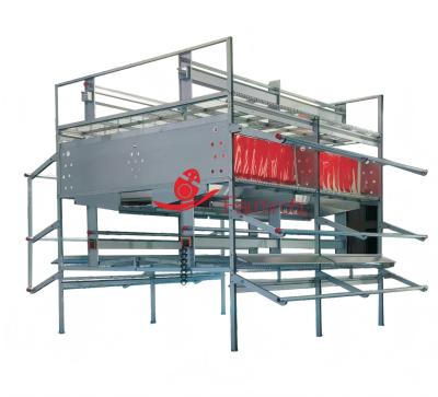 China 3 Tiers Welfare Cage Free System Of Sufficient Activity Platform For Layers for sale