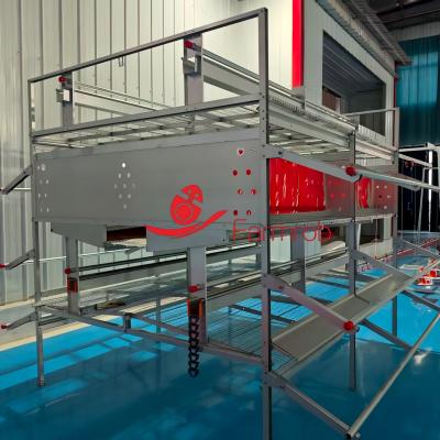 China Chain Feeding Cage Free System with Comfortable Living Environment for sale