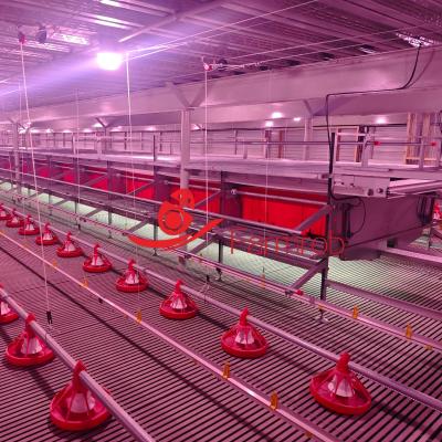 China Open Structure Cage-Free system for USA Farms for sale