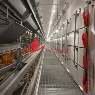 China Streamlined Drinking and Manure Removal Automation Poultry Battery Cage System for Baby Chicks Rearing for sale