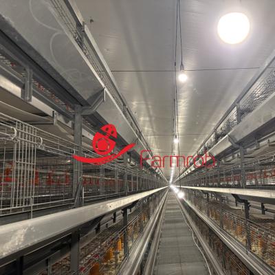 China Automatic Feeding and Watering for Pullet Poultry Battery Cage System with Comfortable Environment for sale