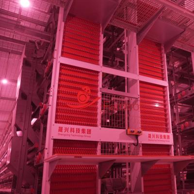 China Durable 8-Tiers Layer Chicken Cage System for Modern Commercial Poultry Housing Solutions for sale