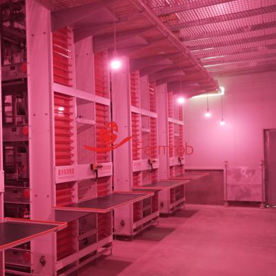 China 6-10 Tiers High Reliability Layer Chicken Cage System with 700mm Story Height for Indonesia Farms for sale