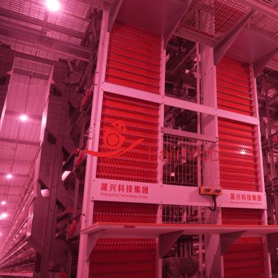 China Layer Chicken Cage System with Corrosion Resistant Materials and Automated Egg Collection for Vietnam Farms for sale