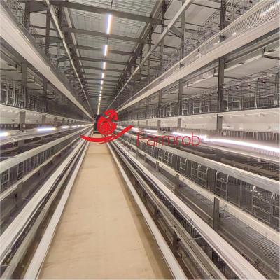 China Automatic Egg Collection Poultry Battery Cage System with Al-Mg-Zn Alloy for 15-20 Years Service Life for sale